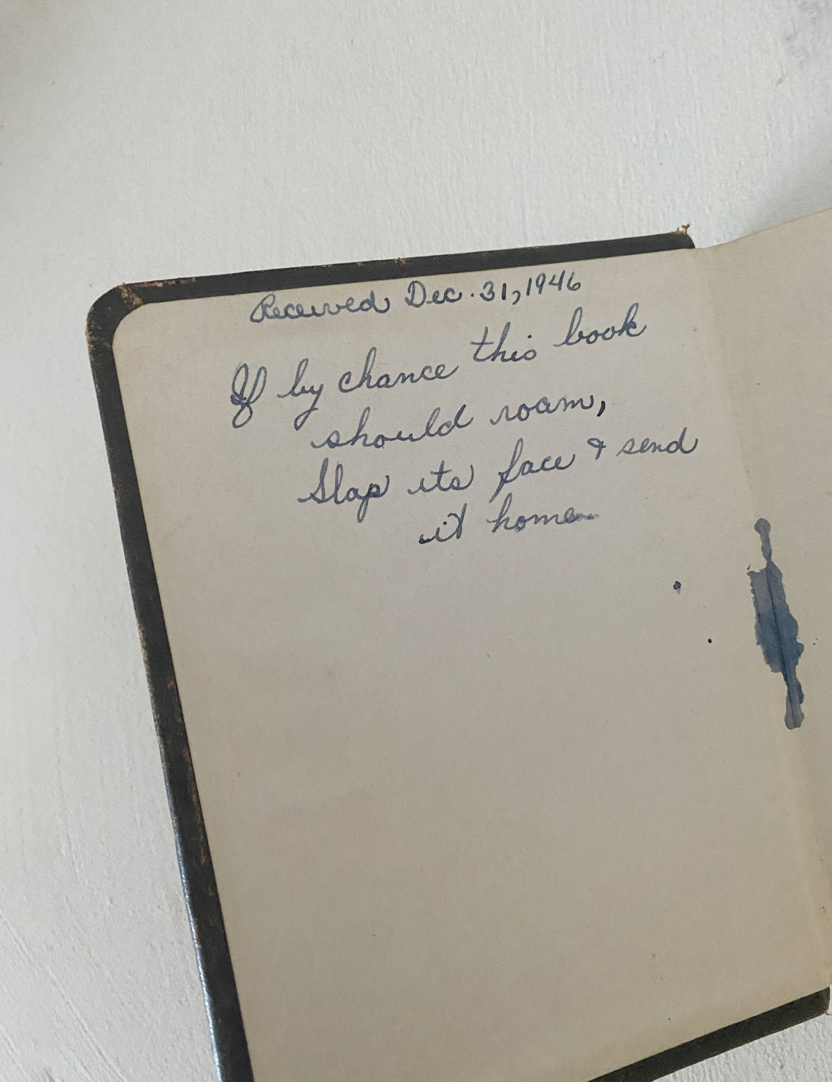 Woman returns emotional post-WW2 diary of young girl to ancestors ...