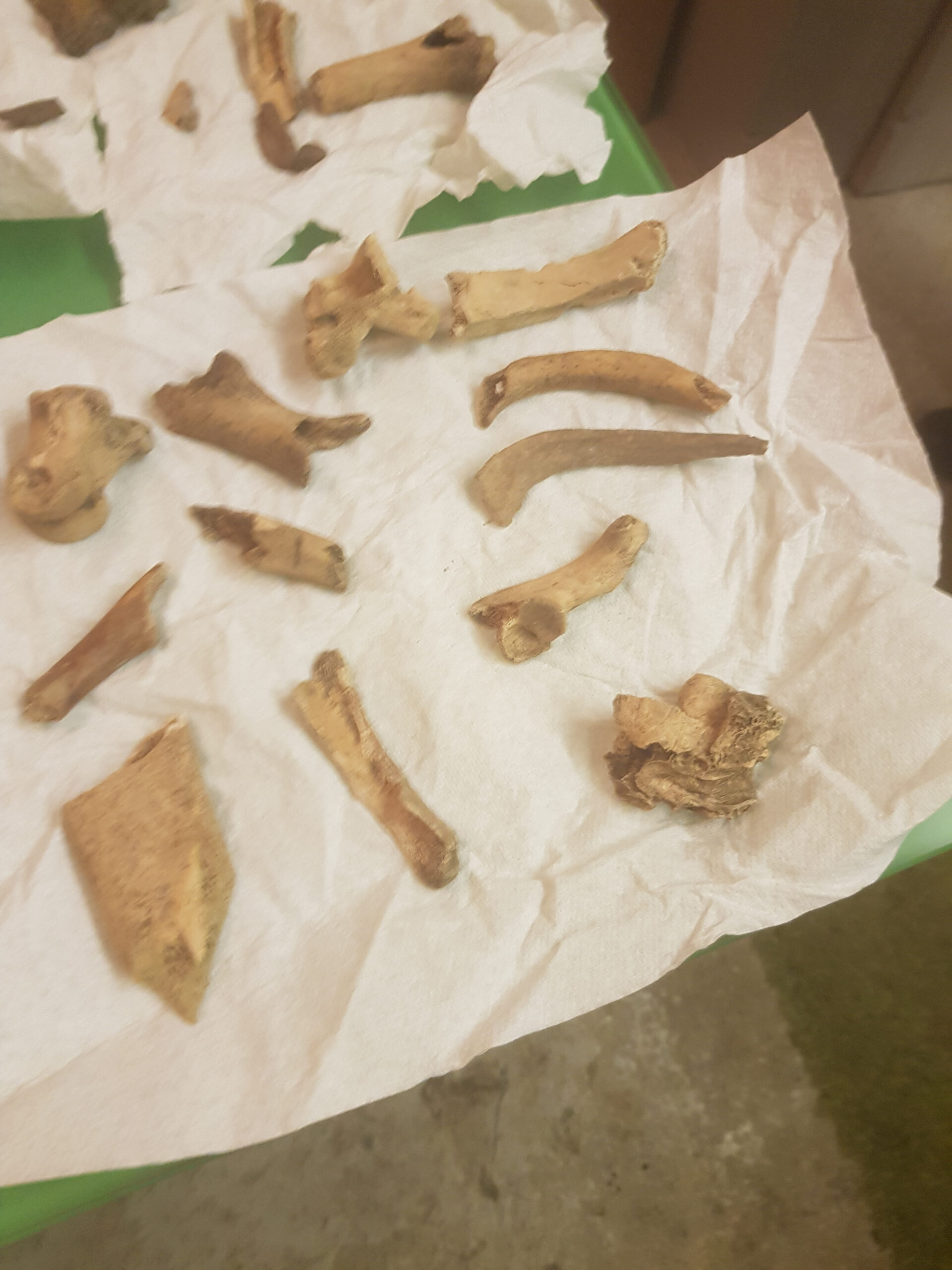 'Most haunted house in the world': Woman finds 'HUMAN BONES', daggers ...
