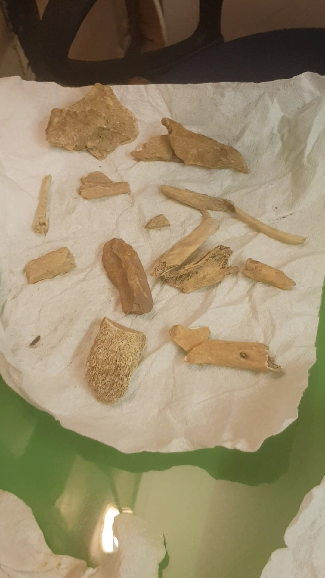 'Most haunted house in the world': Woman finds 'HUMAN BONES', daggers ...