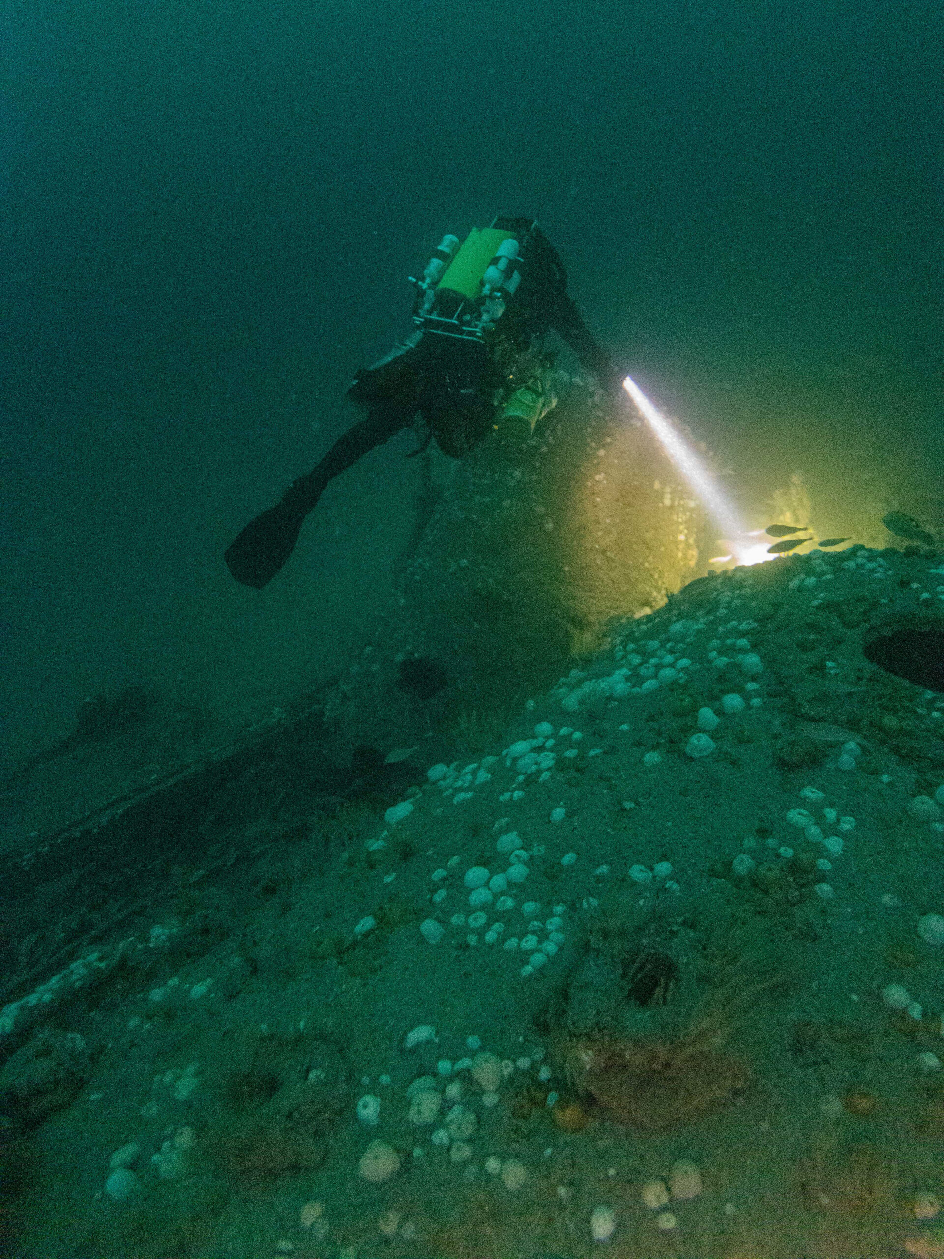 Diver discovers wreck sunk by infamous German U-boat commander during ...