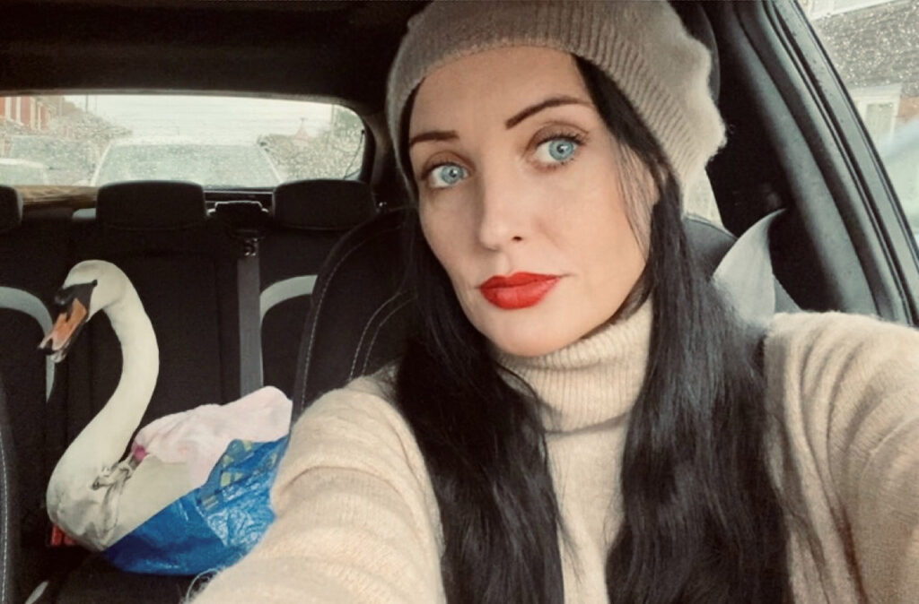 Deaf woman saves mute swan from busy road using IKEA BAG and reunites ...
