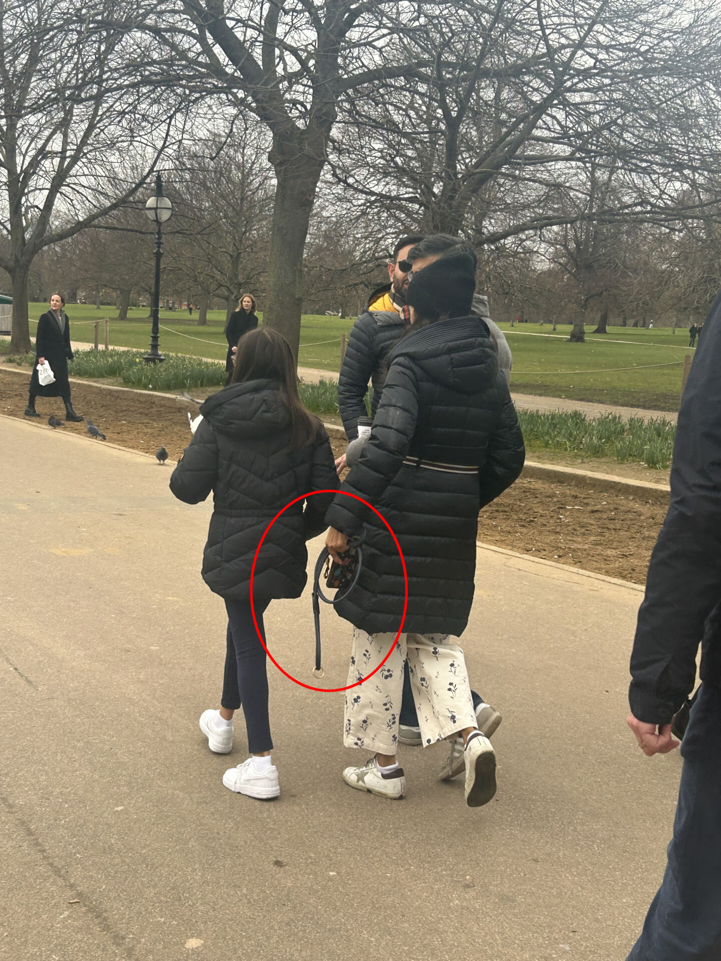 In the doghouse? Rishi Sunak spotted with dog off lead in park | Need ...