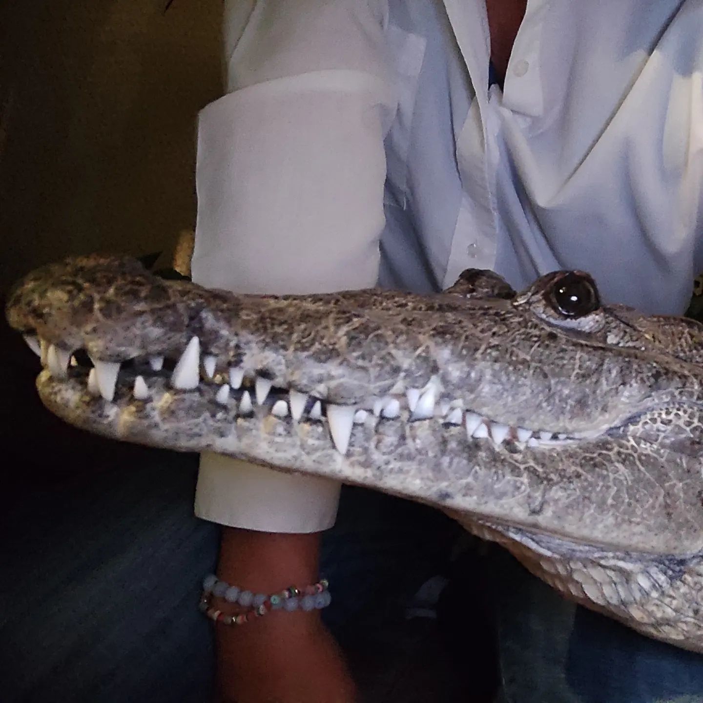 'I've got a pet crocodile – she sleeps in my bed,' says man, 29, with ...