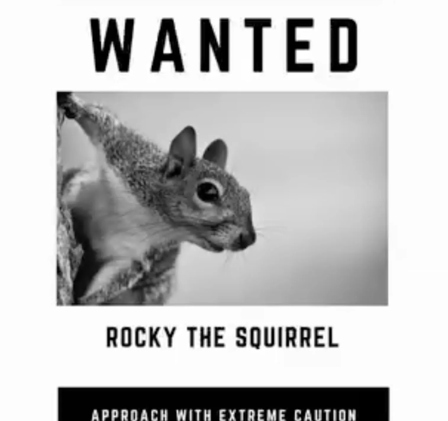 VIDEO: Armed cop shrieks at sight of squirrel ‘intruder’ | Need To Know