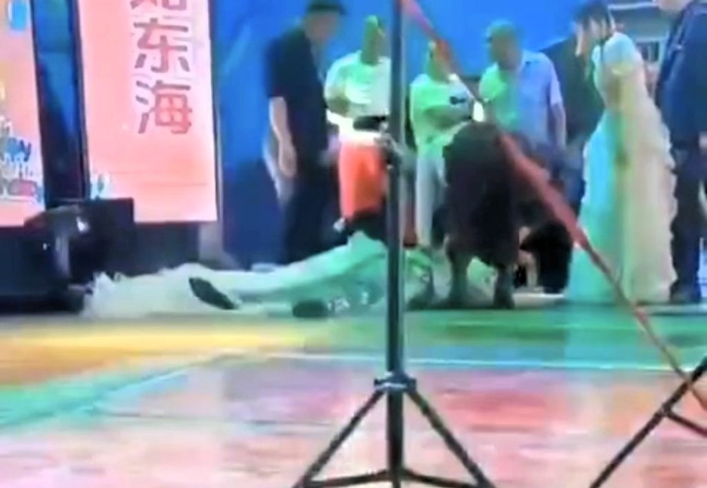 Singer dies mid-concert after tripping on dress and bashing head | Need ...