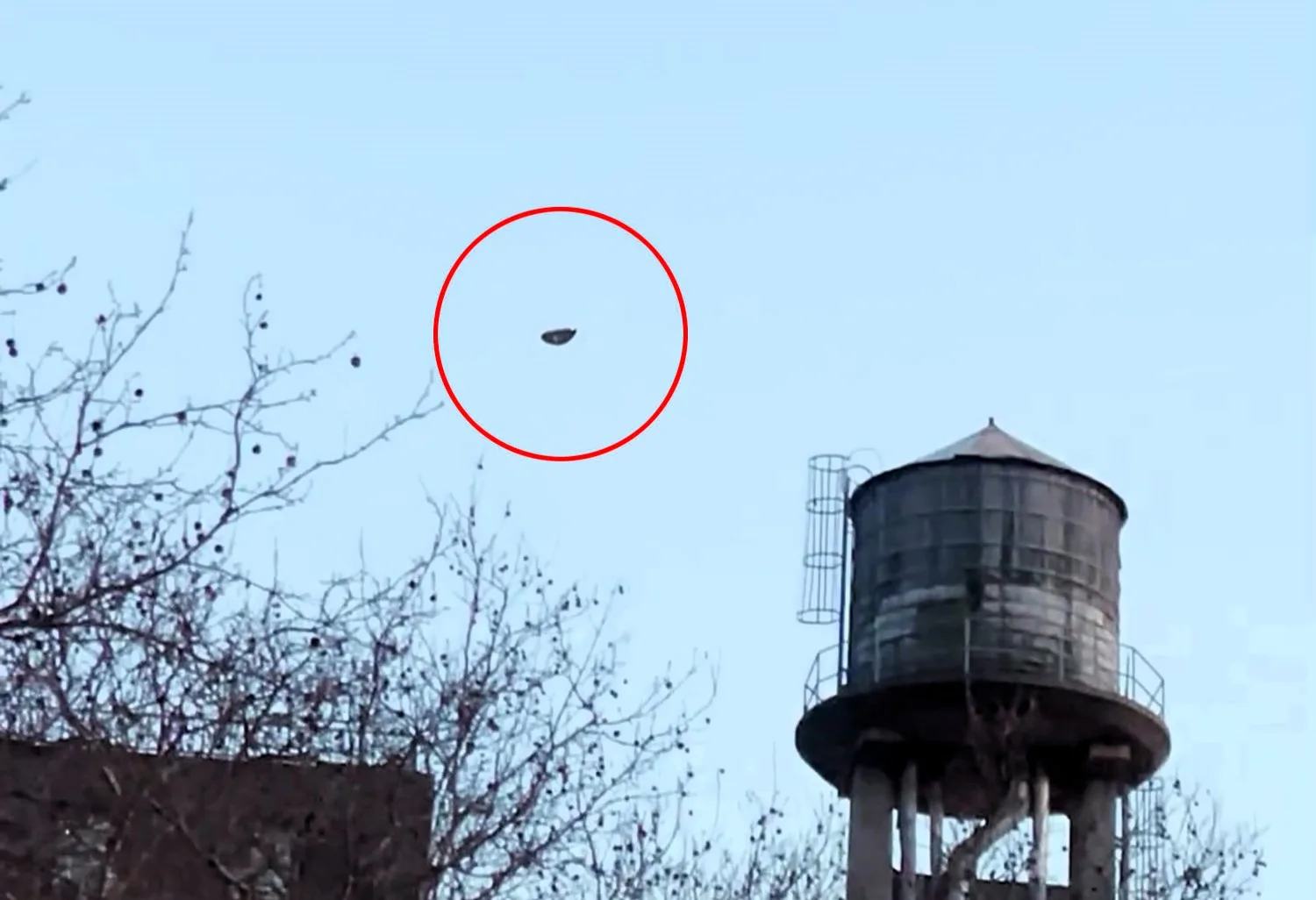 VIDEO: Moment singer J Balvin spots plectrum-shaped ‘UFO’ hovering in ...