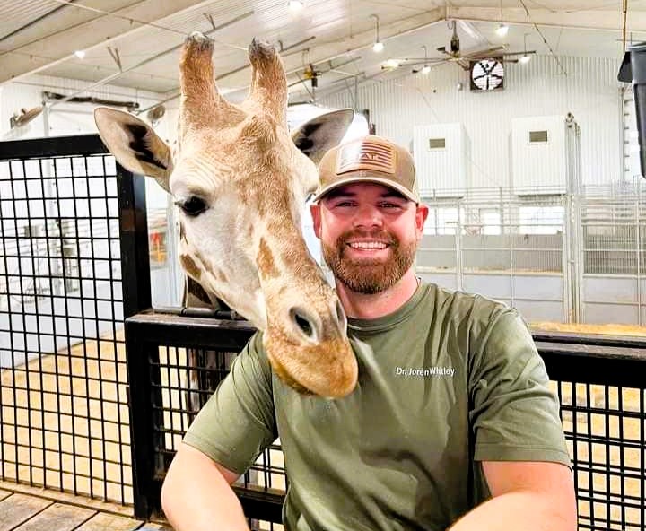 ‘I'm an animal chiropractor – I've worked with everything from baby ...