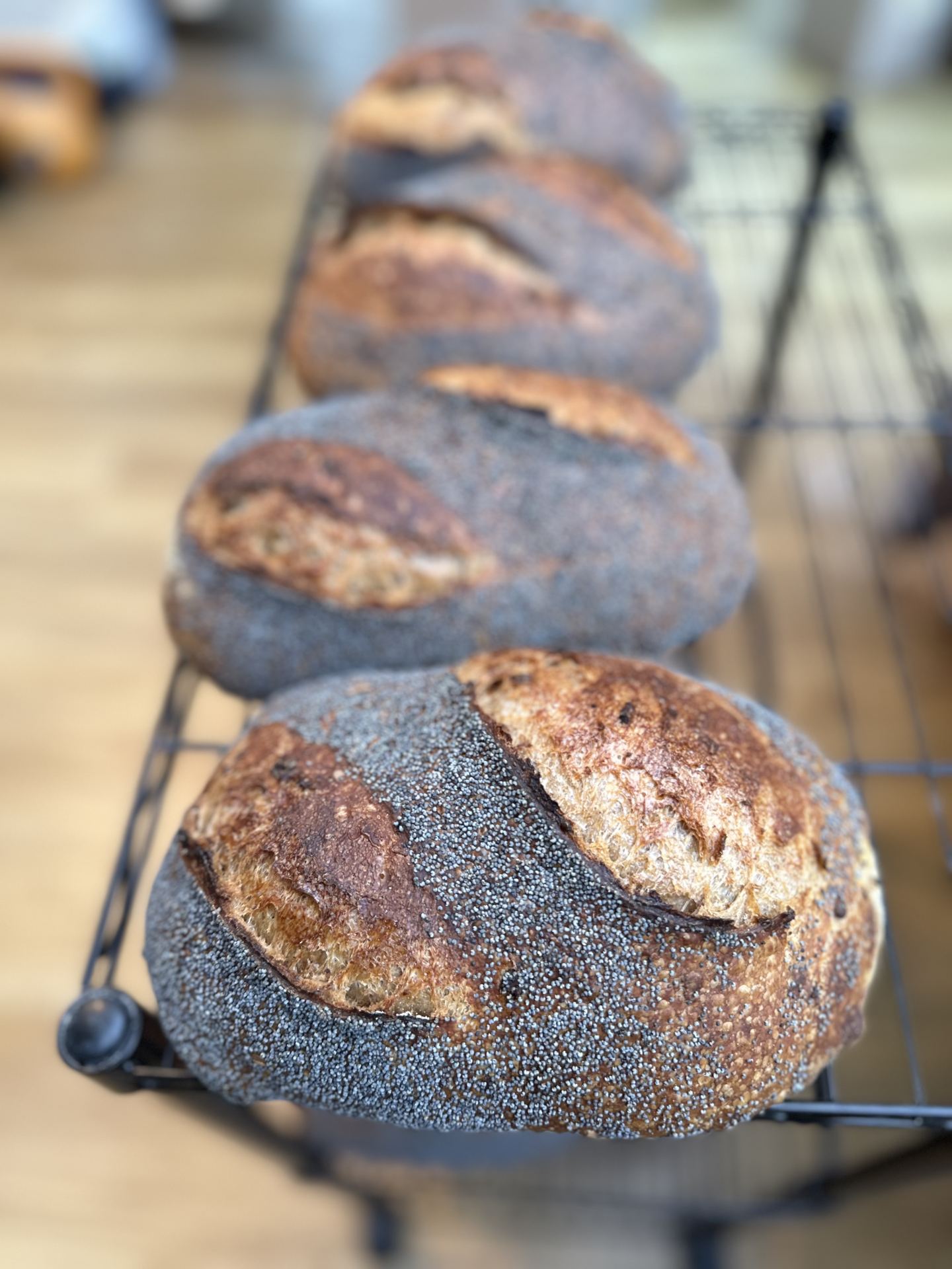 IT worker who bakes part-time nabs win for making 'Britain's best loaf ...