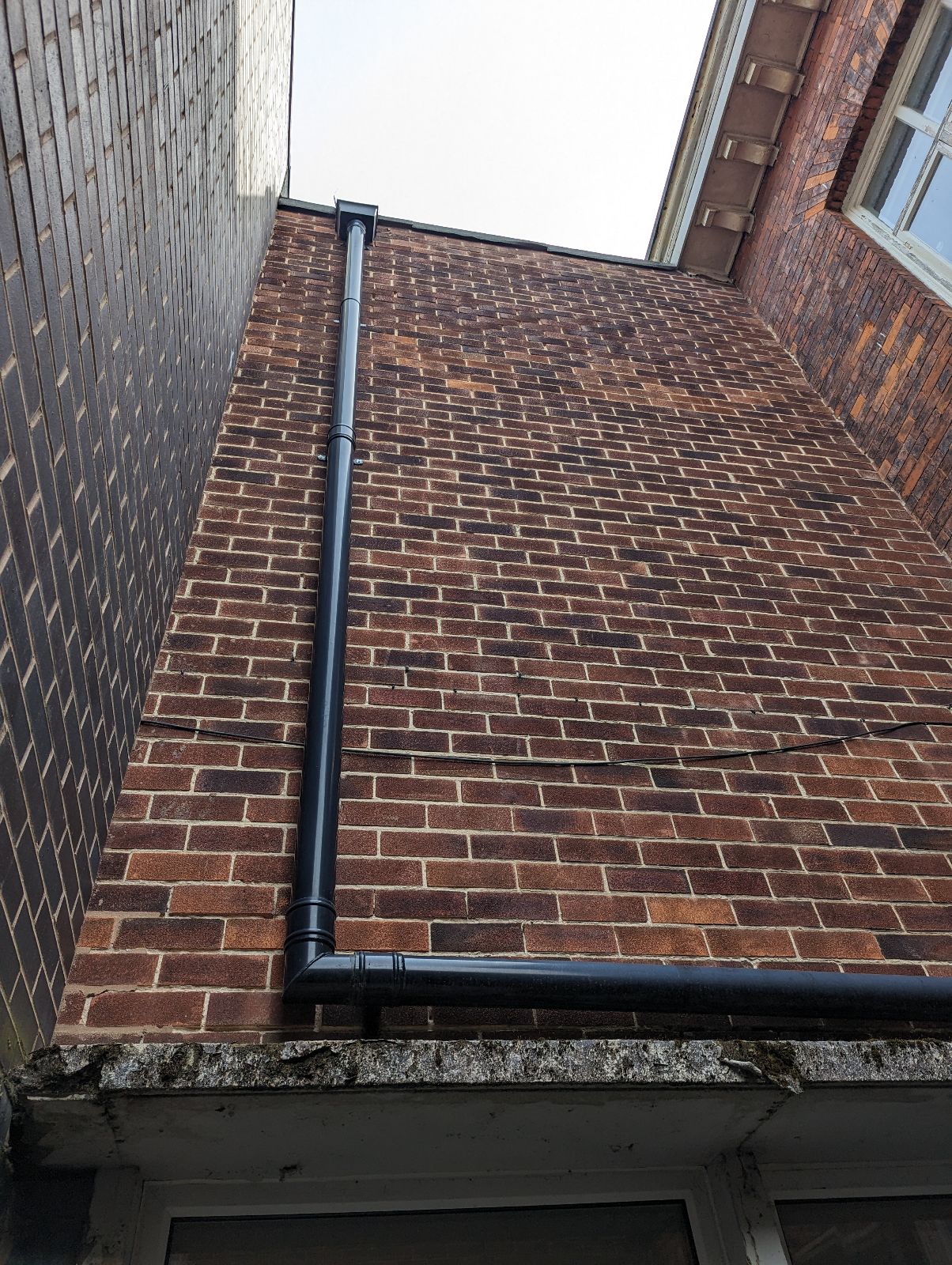 Lucky ducks! Ten ducklings survive after plunging 30ft from school roof ...
