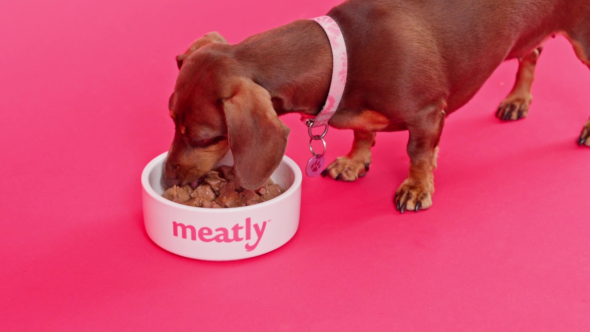 UK’s first ever lab-made MEAT for pets to go on sale | Need To Know