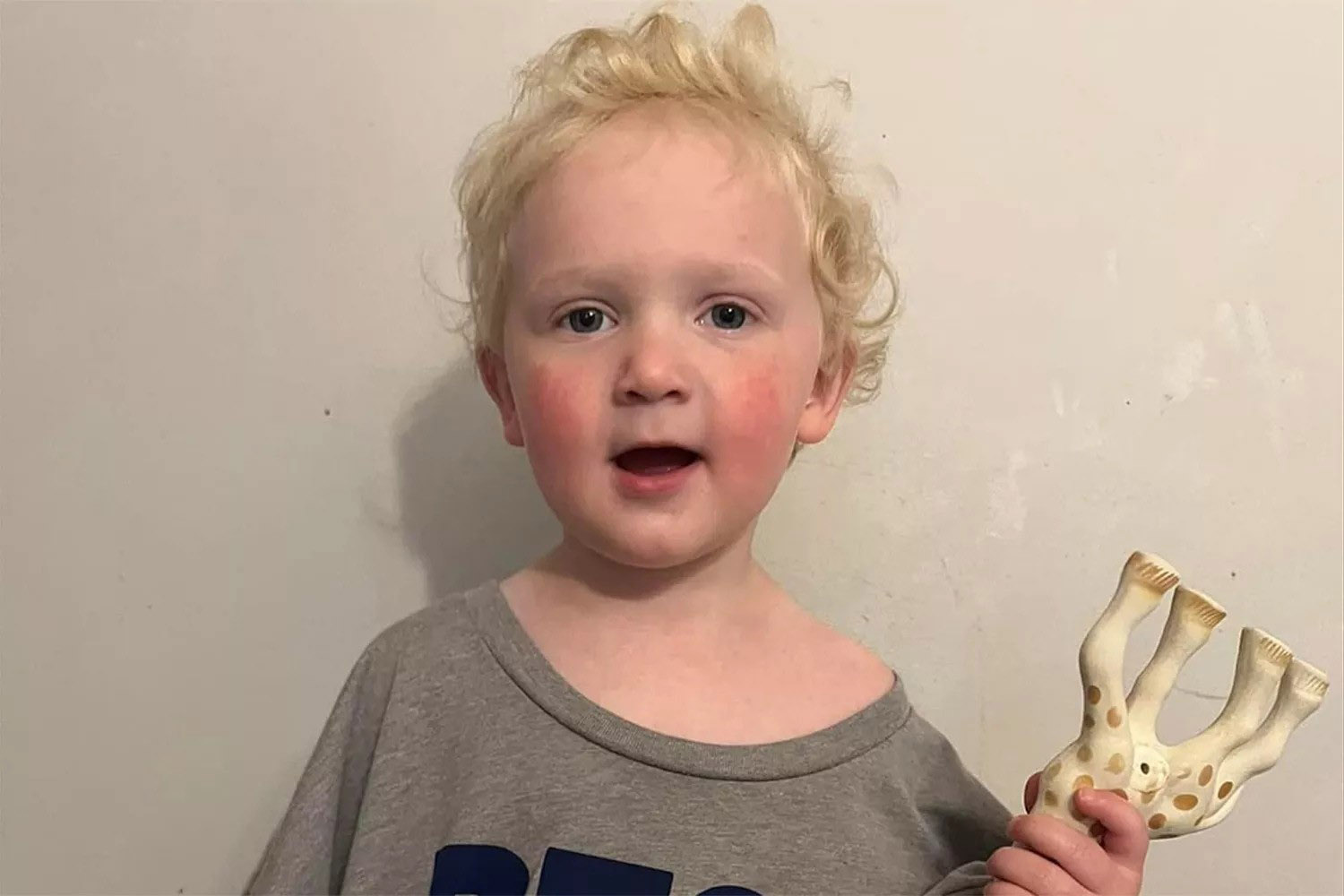 Three-year-old who was killed by dog will 'live on' after donating ...