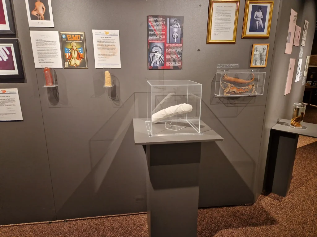 Man with ‘world’s biggest penis’ has record-breaking member displayed ...