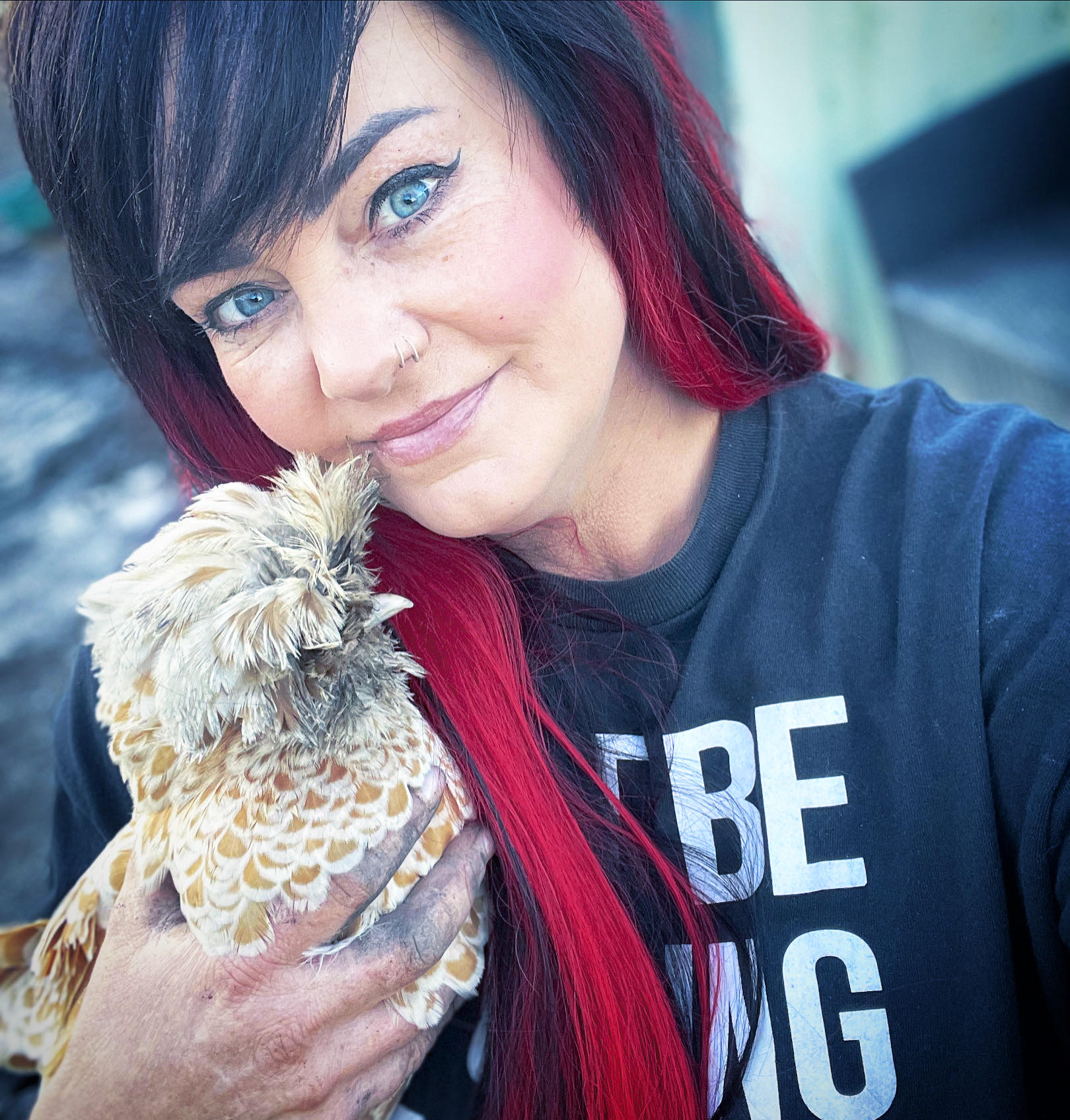 Over 400 animals to be put down after neighbours complain about noise ...