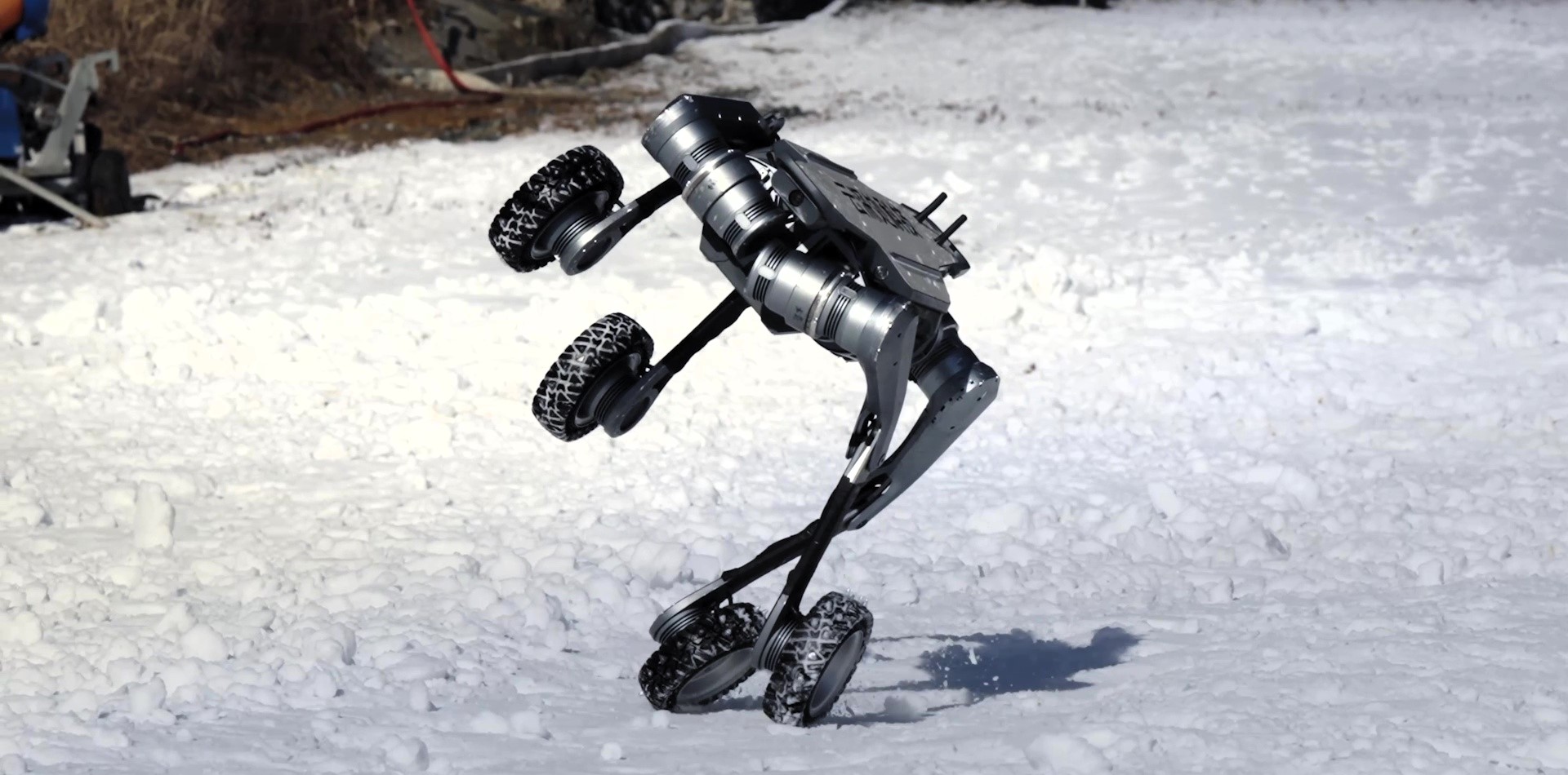 Lynx robot dog that can swim, climb walls and SNOWBOARD shows off crazy ...