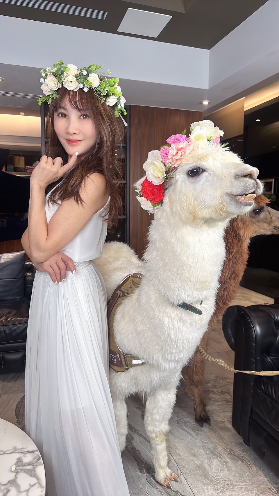 Wealthy influencer who bought £150,000 Tesla for her alpaca forced to ...
