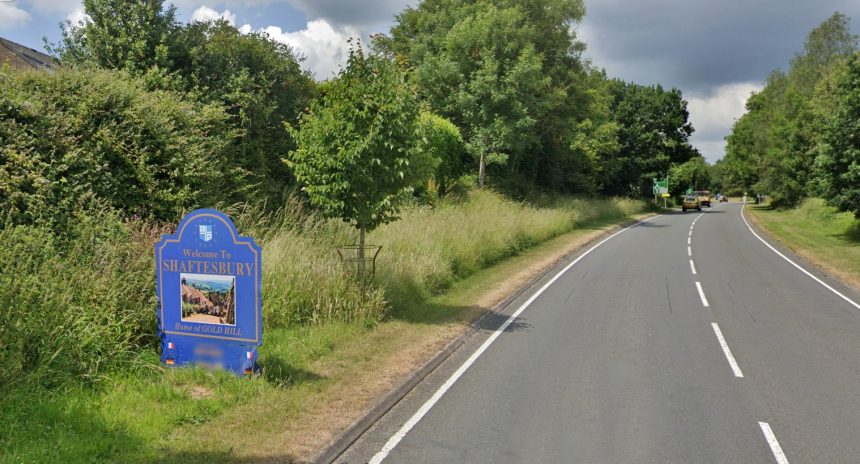 Birds of prey STOLEN in bizarre robbery as police launch hunt | Need To ...