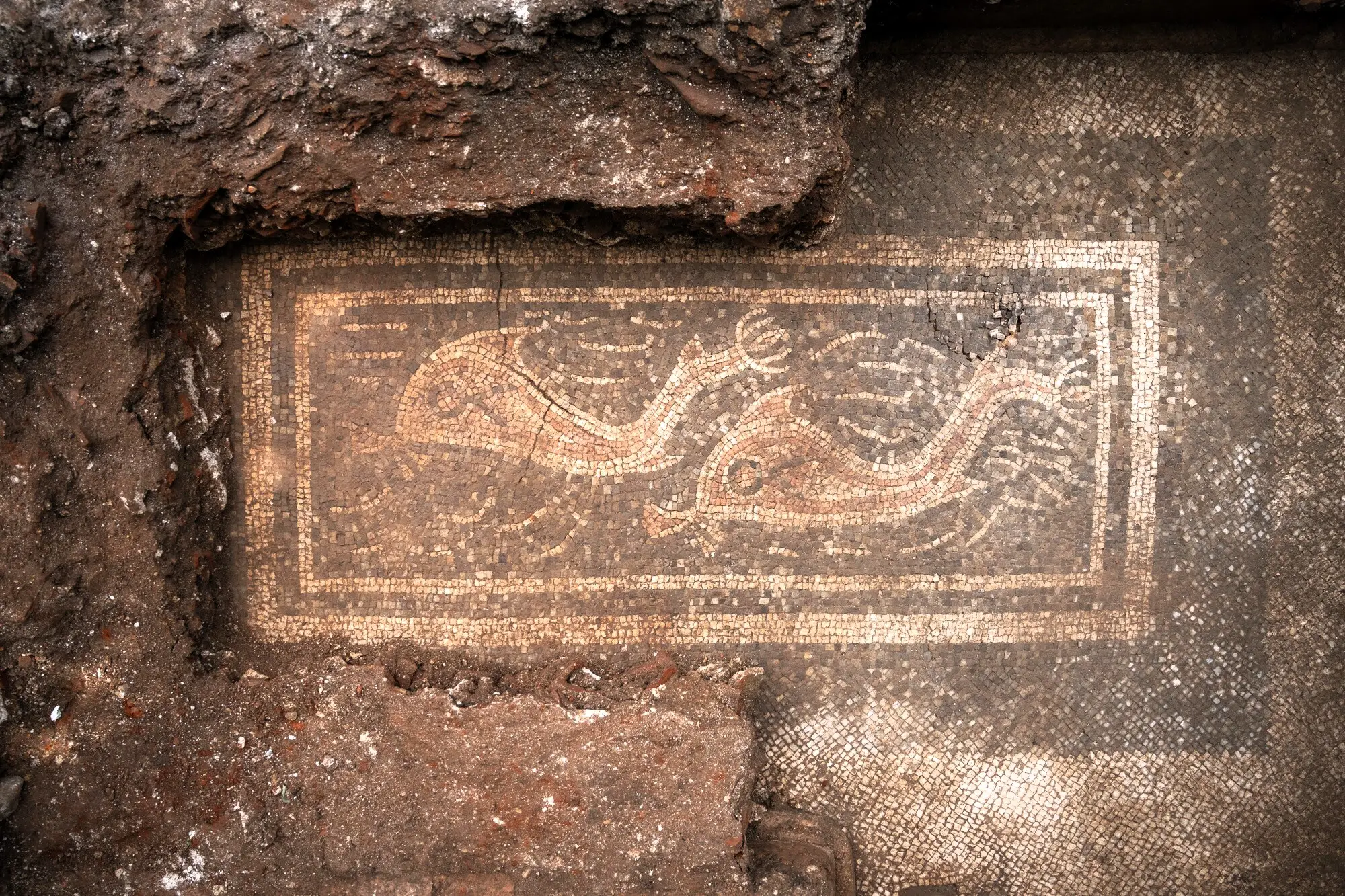 Stunning dolphin mosaic offers rare glimpse into ancient Roman luxury ...