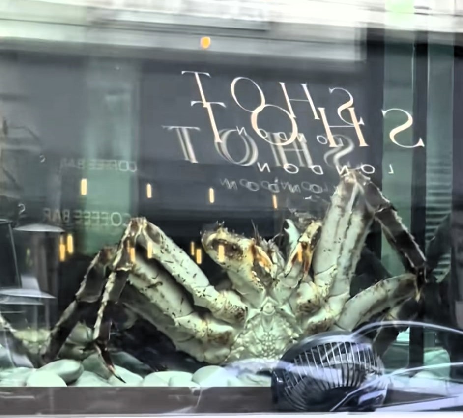 Woman slams London restaurant’s ‘disgusting’ and 'cruel' live crab ...