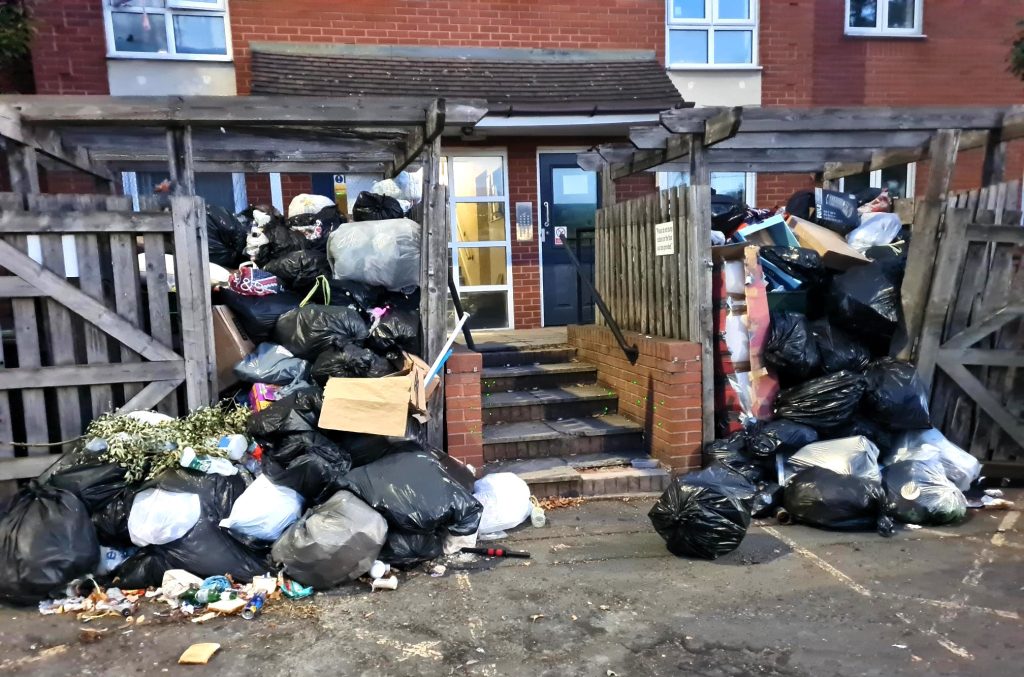 Brit slams council for 'refusing to collect rubbish' as 'chihuahua ...