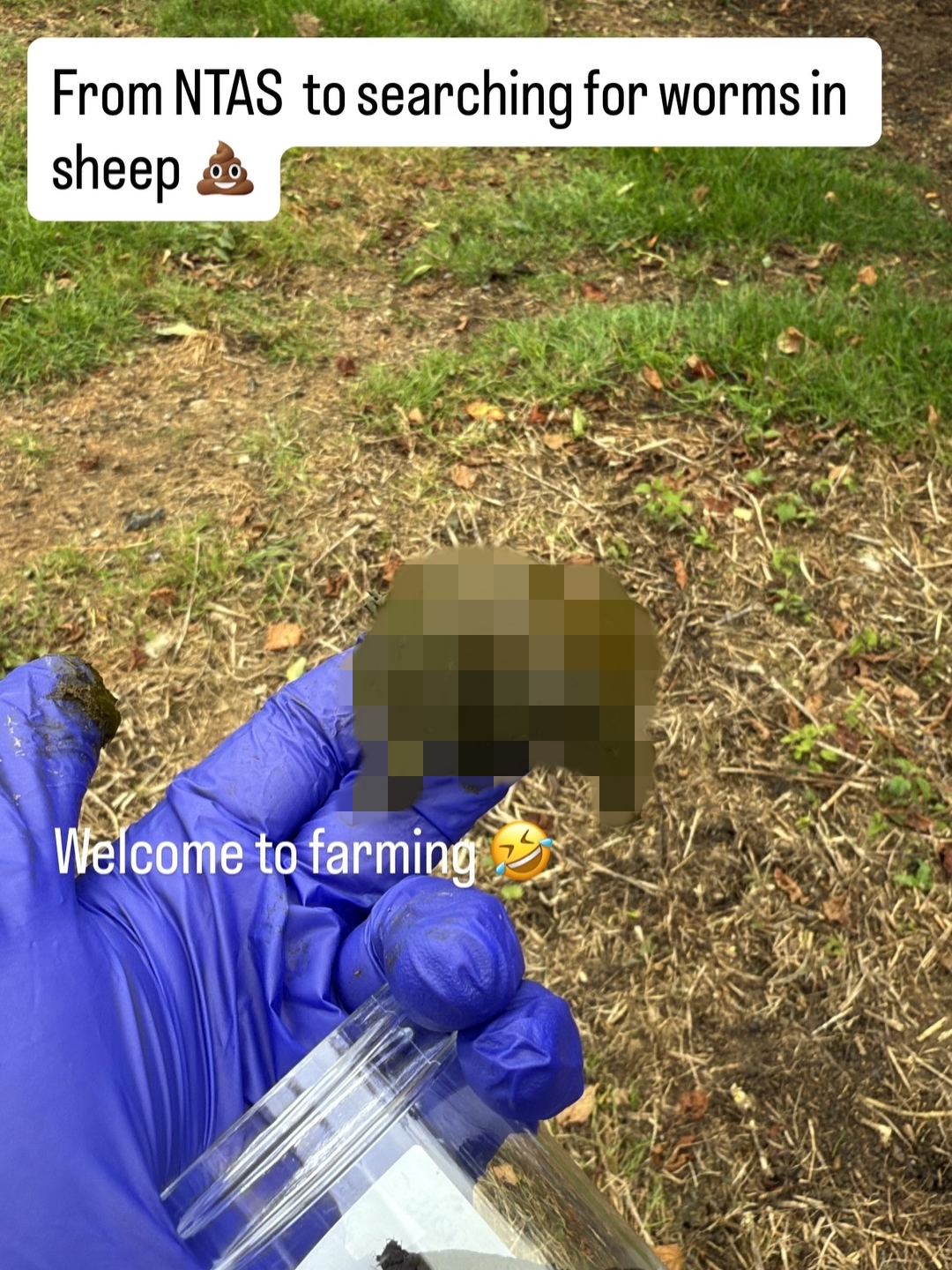 Clarkson's Farm star Harriet Cowan was sifting through sheep poo after ...