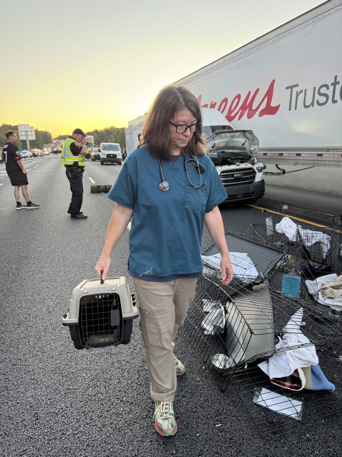 Seven people dead and multiple animals missing as rescue van carrying ...