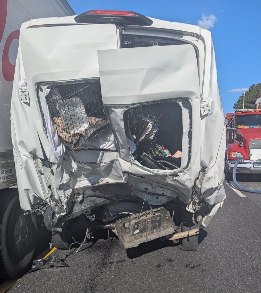 Seven people dead and multiple animals missing as rescue van carrying ...