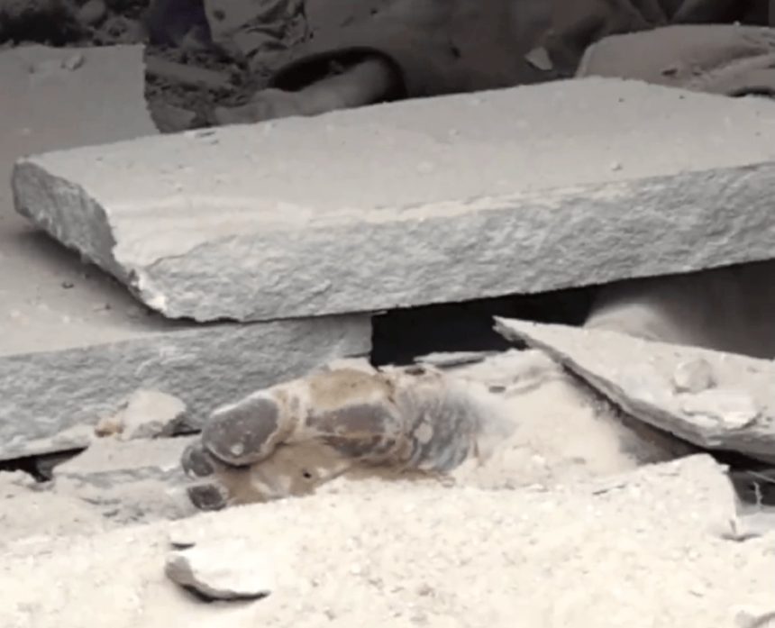 Missing man’s remains found after drone spots mummified corpse hidden ...