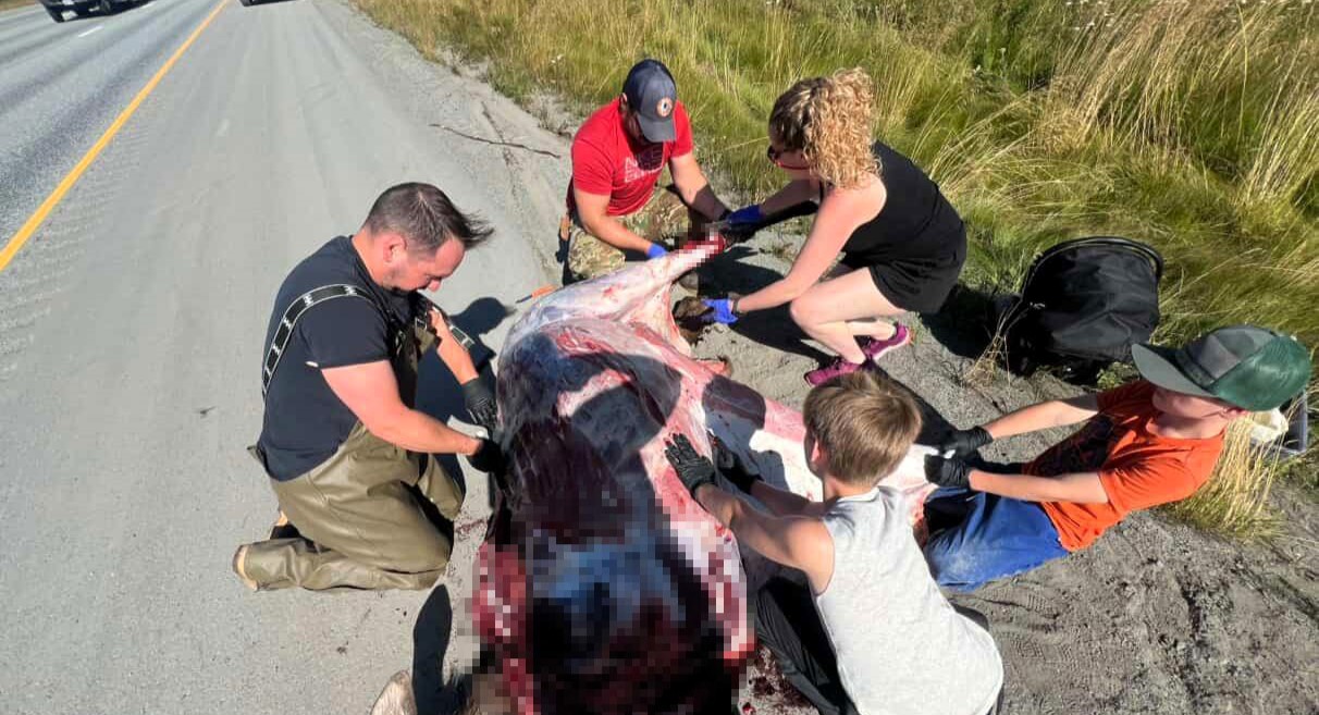 ‘People say it’s disgusting but I serve my family ROADKILL – one animal ...