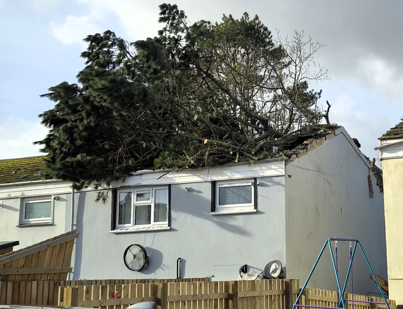 Family of four inches from death after huge falling tree destroys home ...