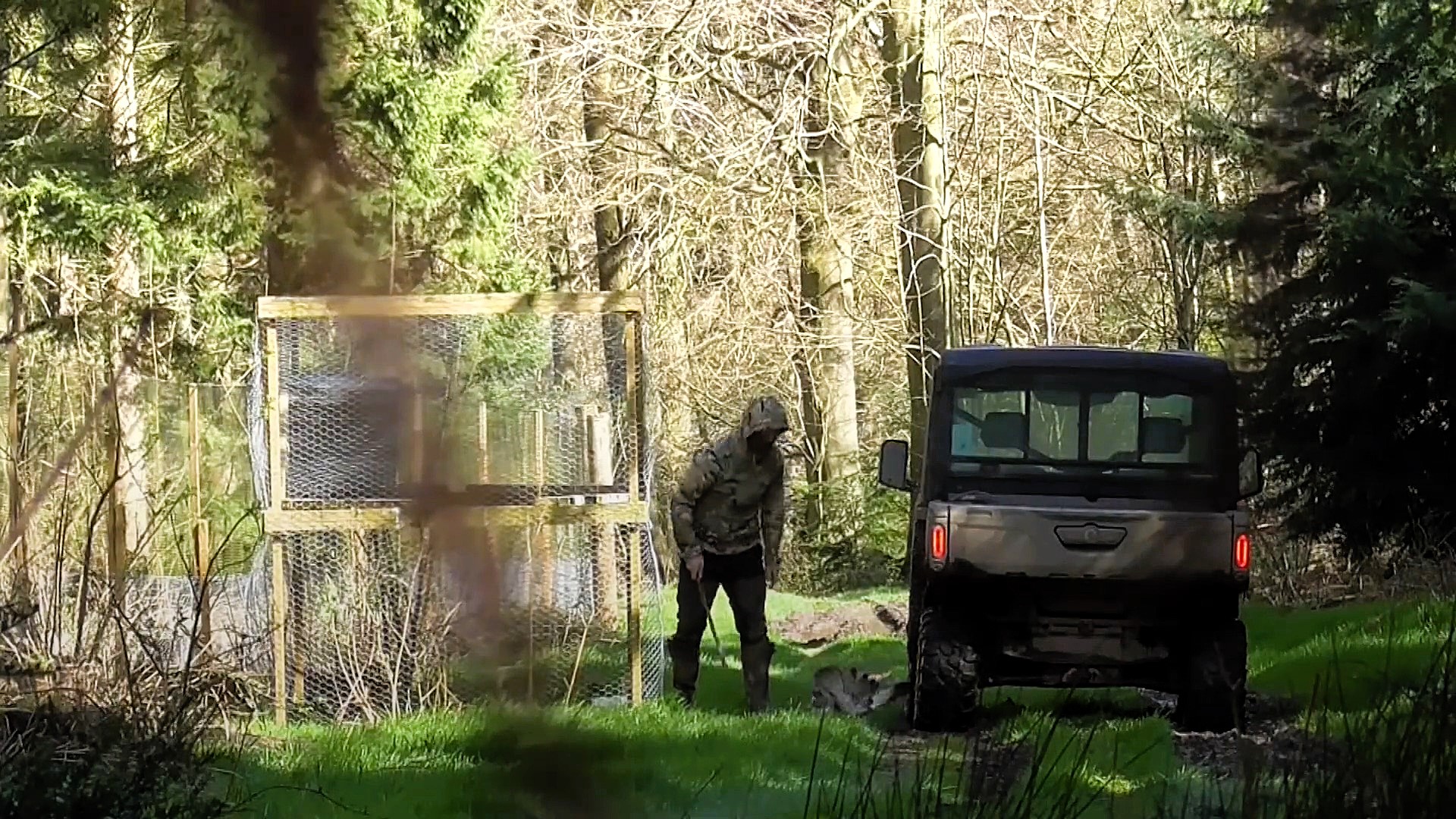 Gamekeeper caught on spy cam beating wild bird of prey to death | Need ...