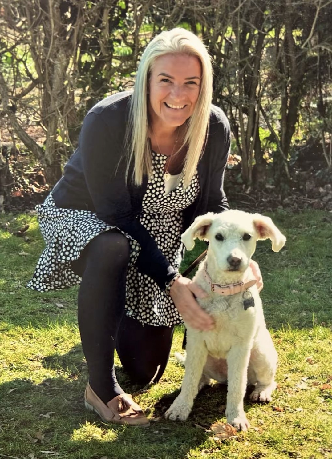 School therapy dog found in park after being stolen from assistant ...