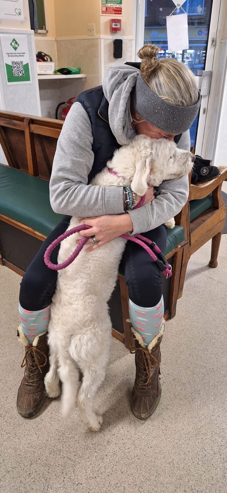 School therapy dog found in park after being stolen from assistant ...