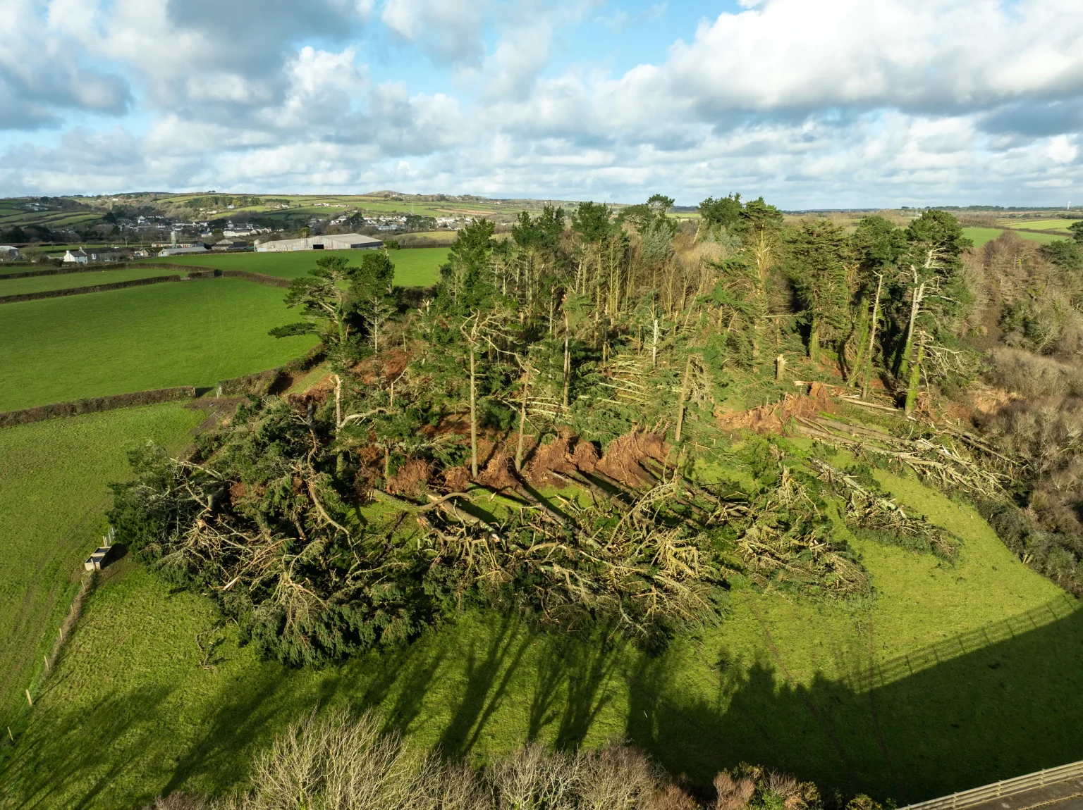 Woodland resembles infamous Tunguska incident after blast from Storm ...