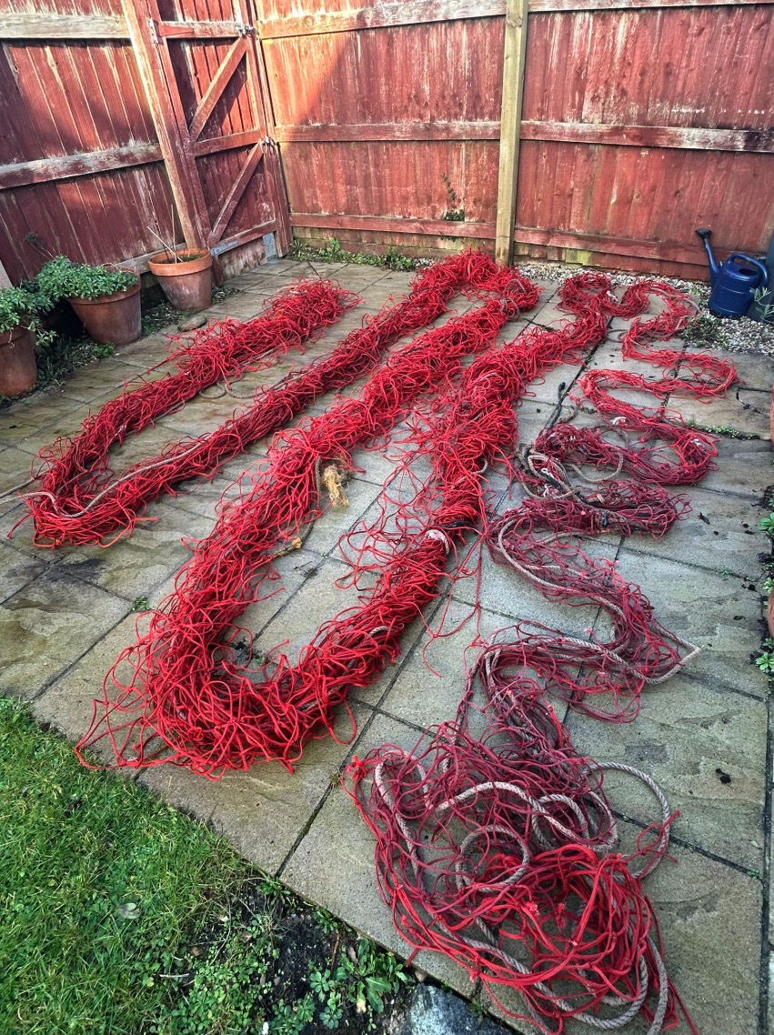Poor seal tangled in 100ft-long net that weighs three STONE saved by ...
