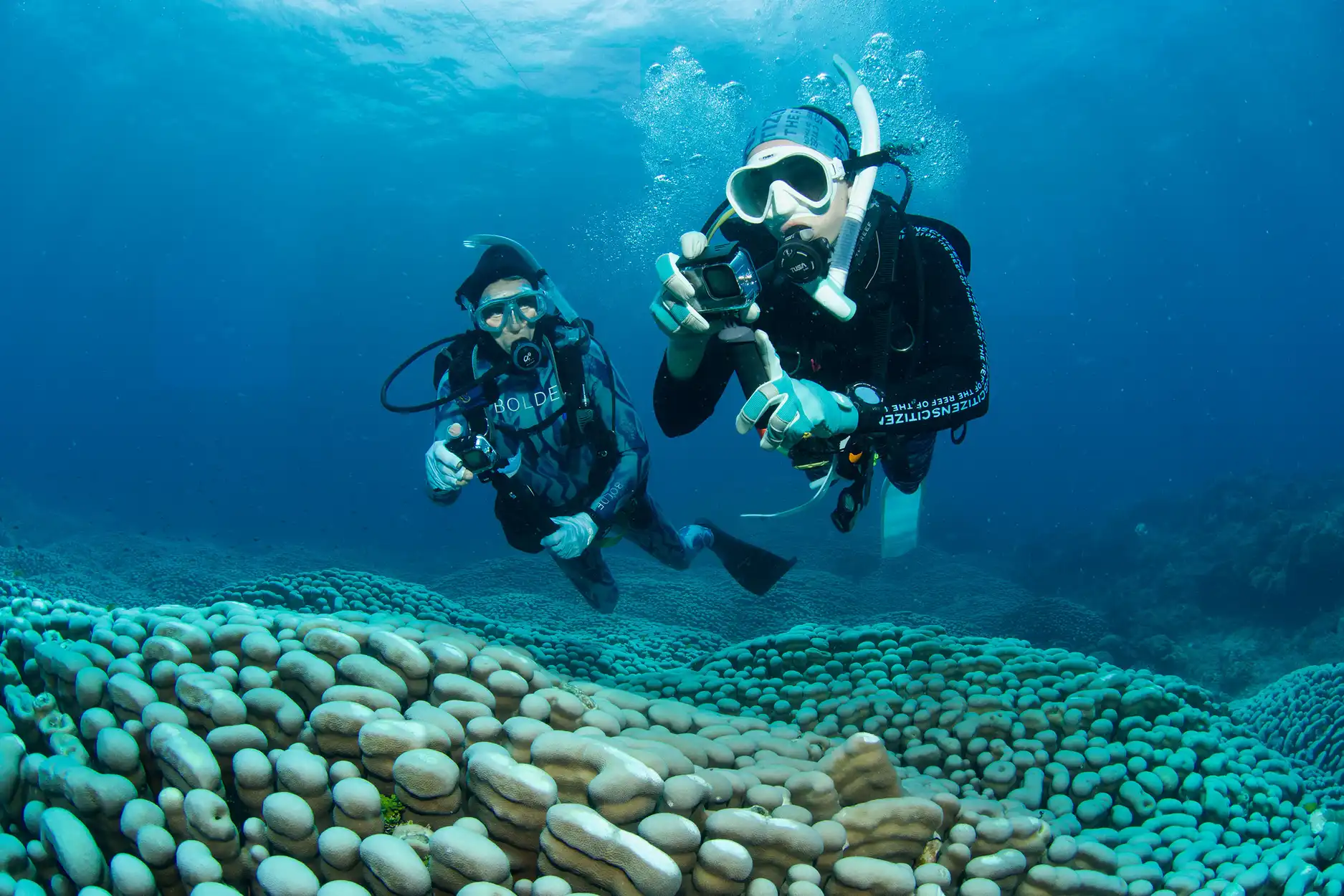 World’s largest coral reef – the size of a FOOTBALL FIELD – discovered ...