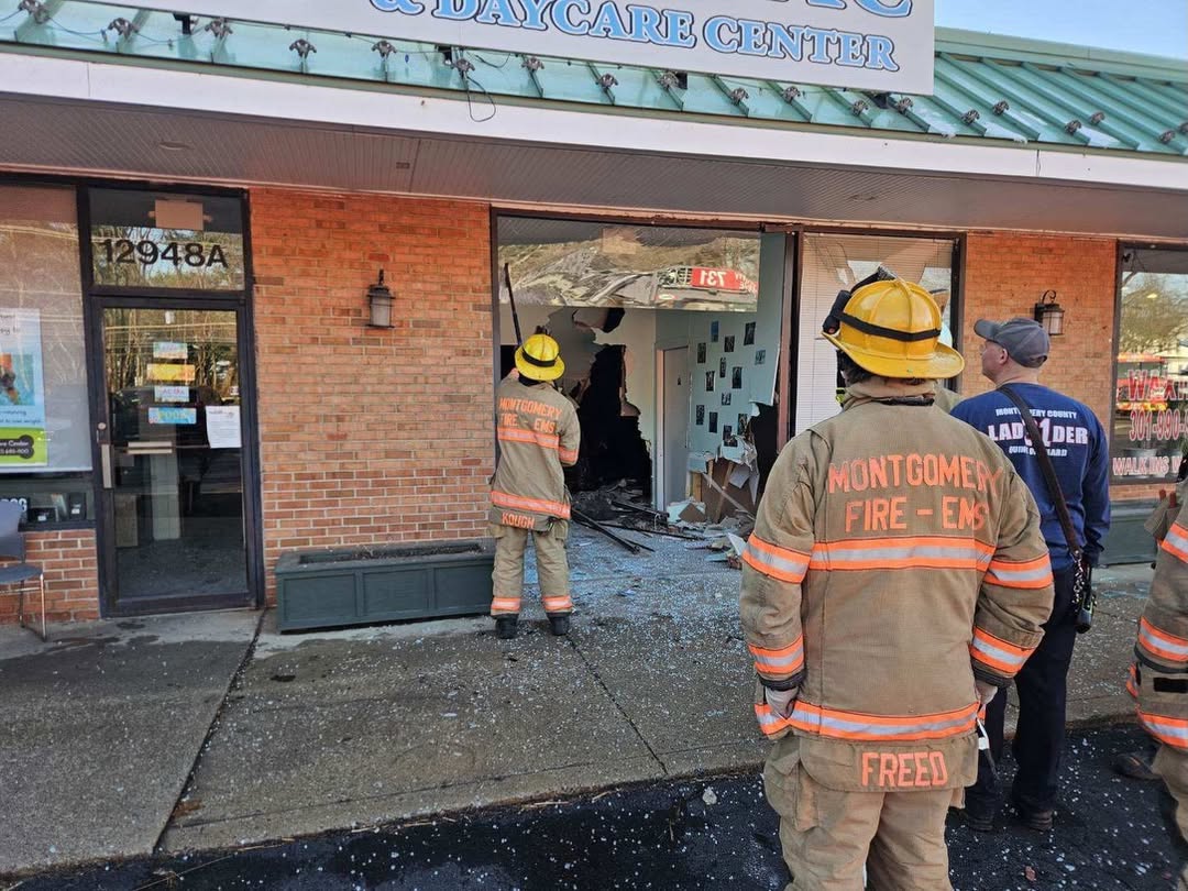 Car crashes through wall and lands in dog centre's SWIMMING POOL | Need ...