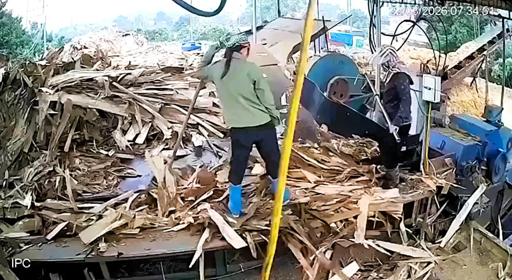 Mother-of-three dies in horror wood chipper accident as colleague ...