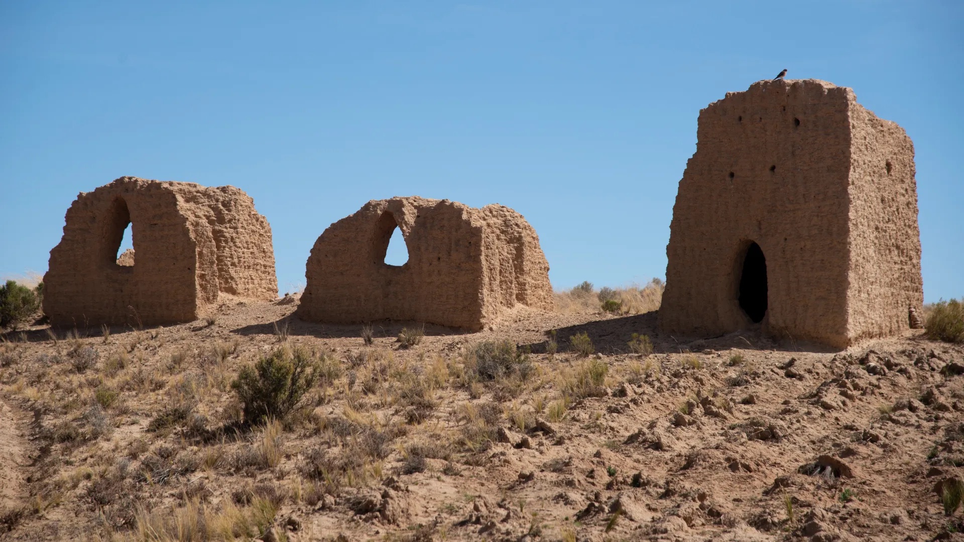 Killer bug found in 700-year-old mummy's tooth | Need To Know