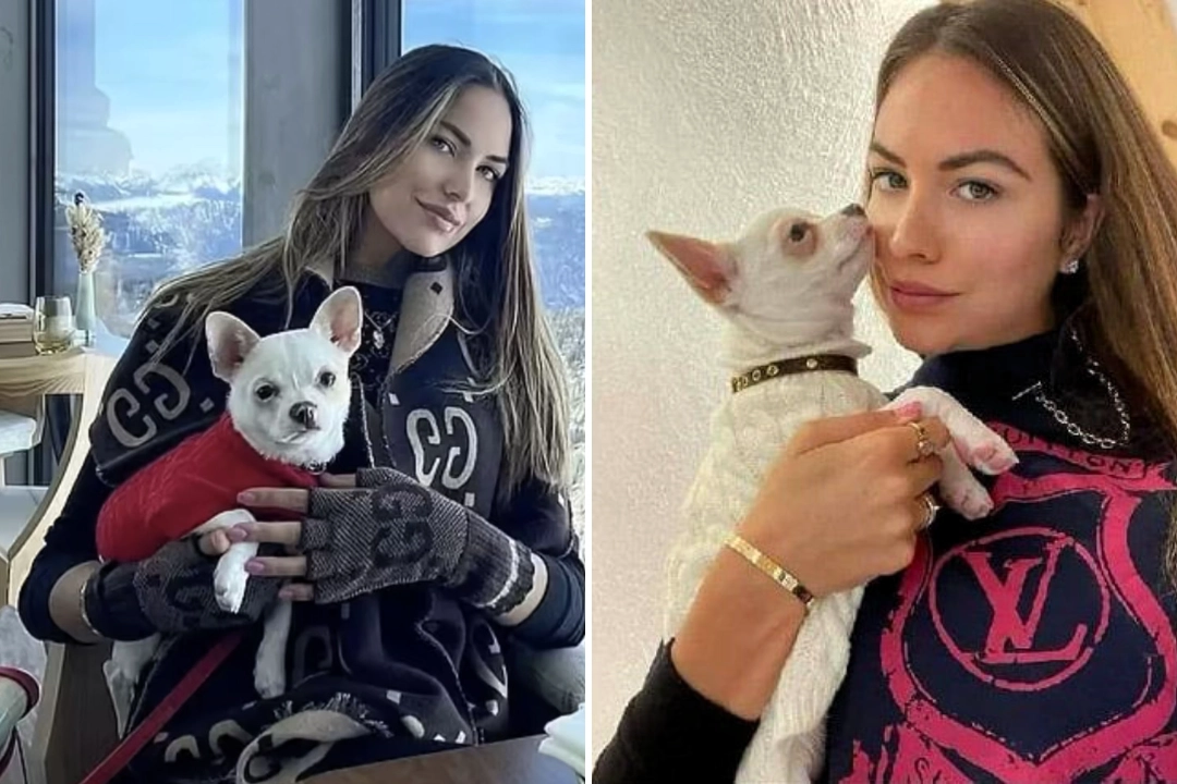 Police search for stolen head of model ‘murdered by ex’ near second ex ...