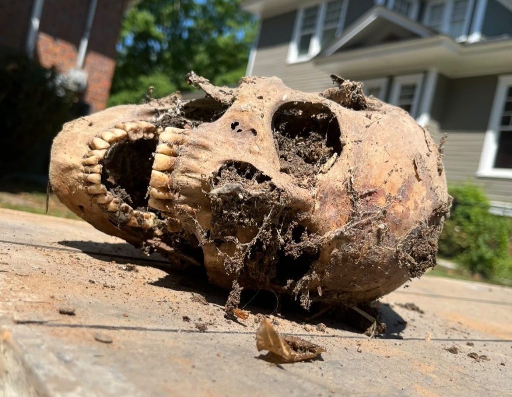 Human SKULL found behind doors in crawlspace | Need To Know
